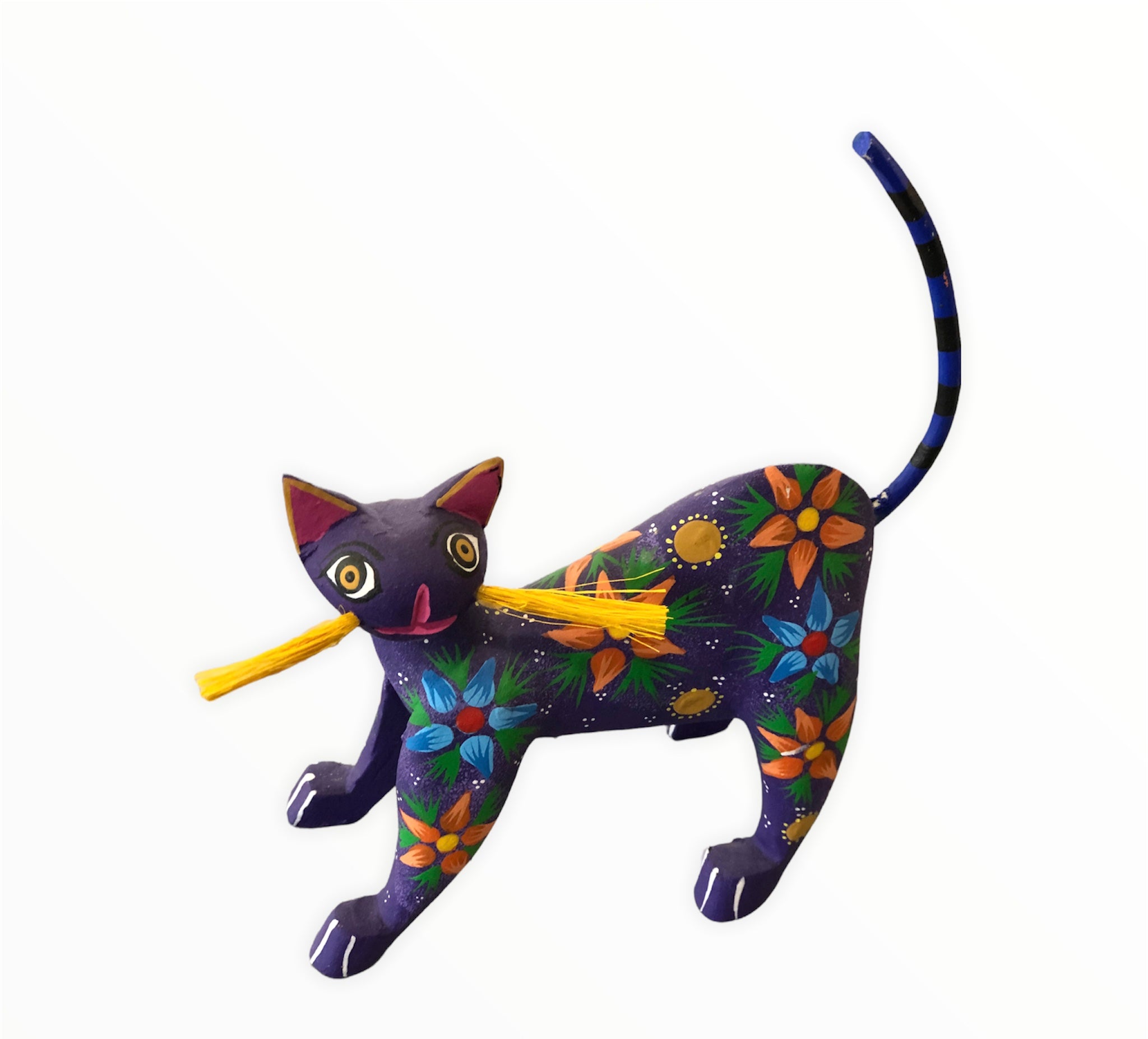 Gato bigotón – OrigenMéxico